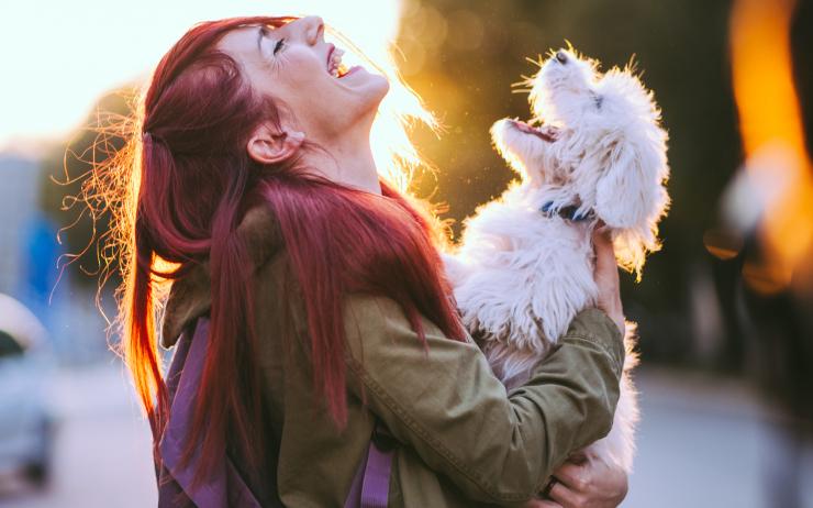 Domestication du chien : comment est-il devenu un animal de compagnie?