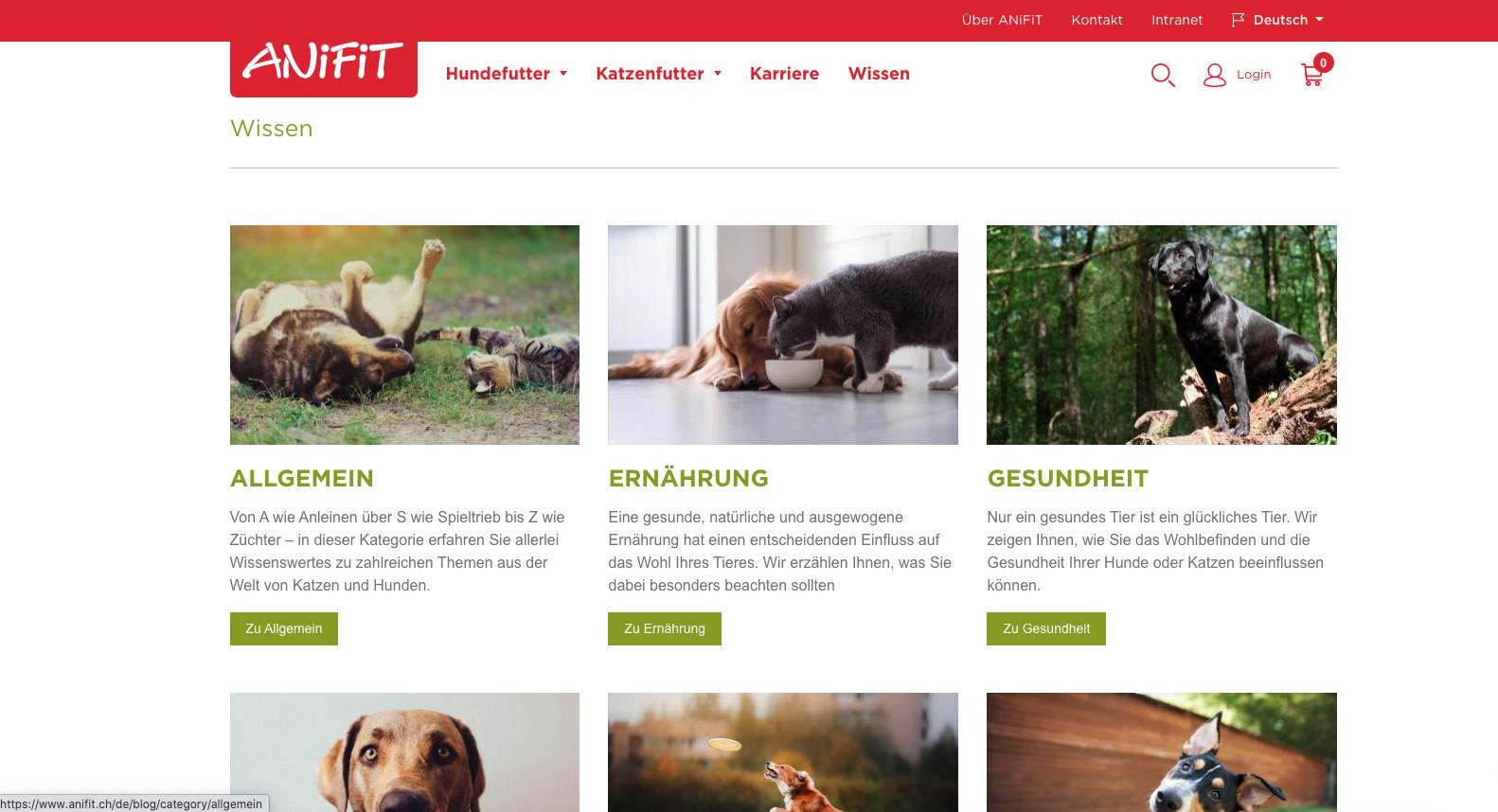 Geschichte von ANiFiT: von der Idee zu Institution - ANiFiT Schweiz