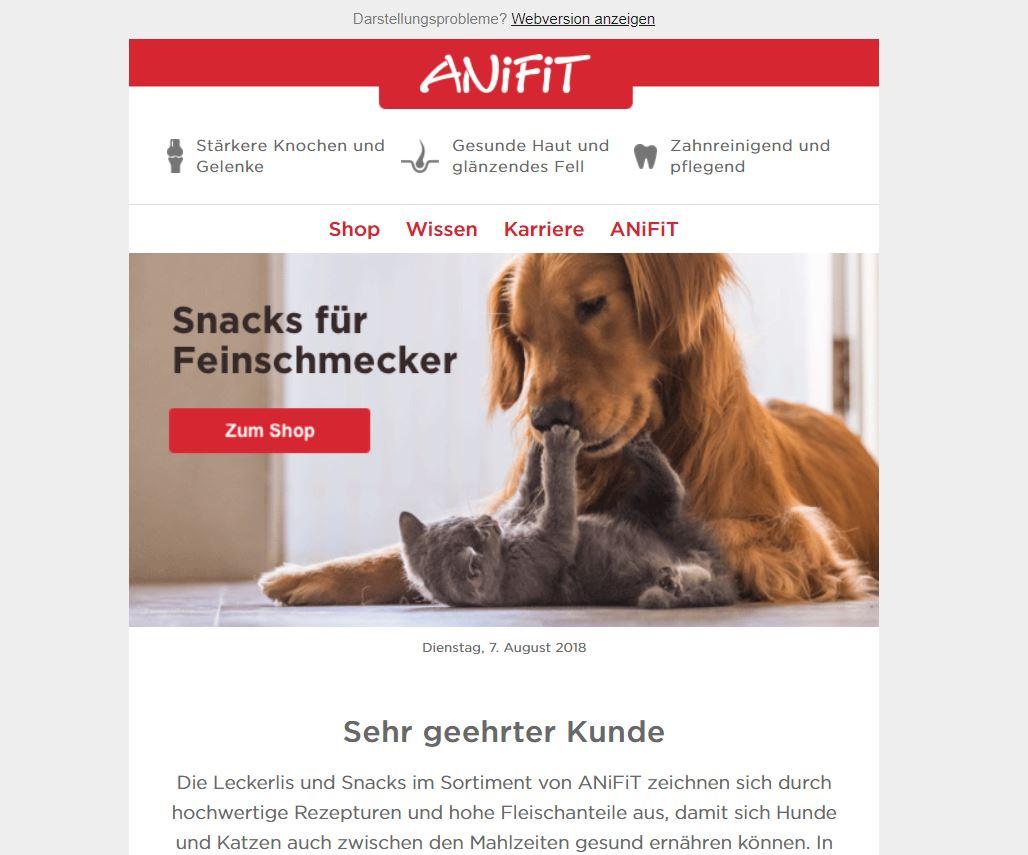 Geschichte von ANiFiT: von der Idee zu Institution - ANiFiT Schweiz