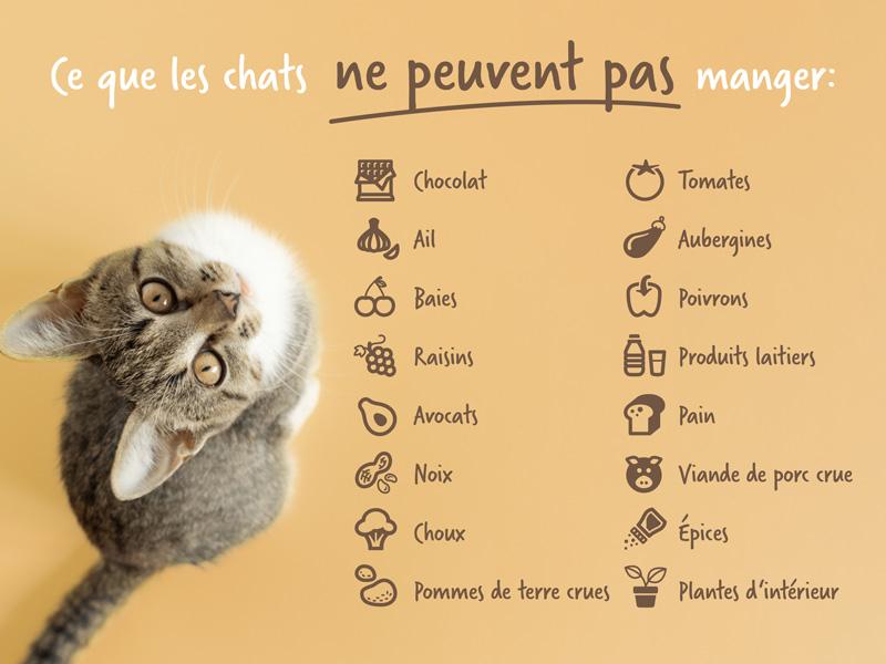 Ce que les chats ne peuvent pas manger