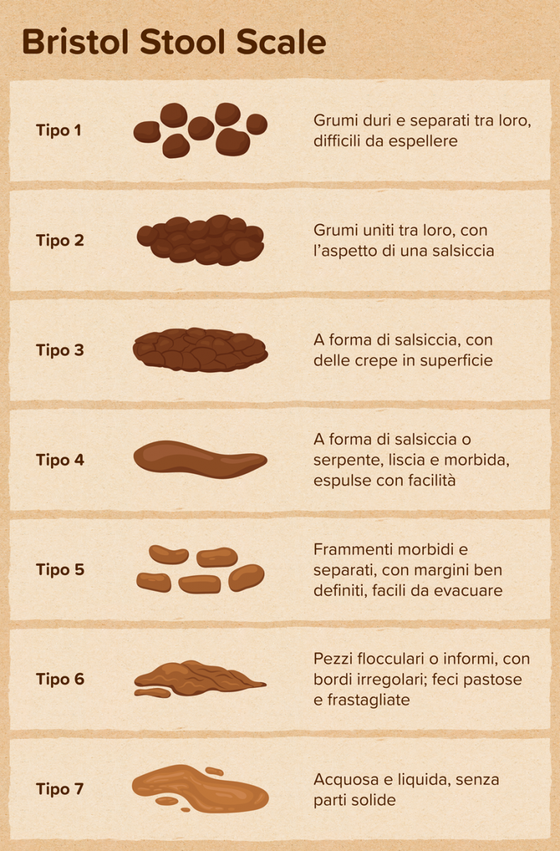 Feci del cane: cosa rivelano sulla sua salute