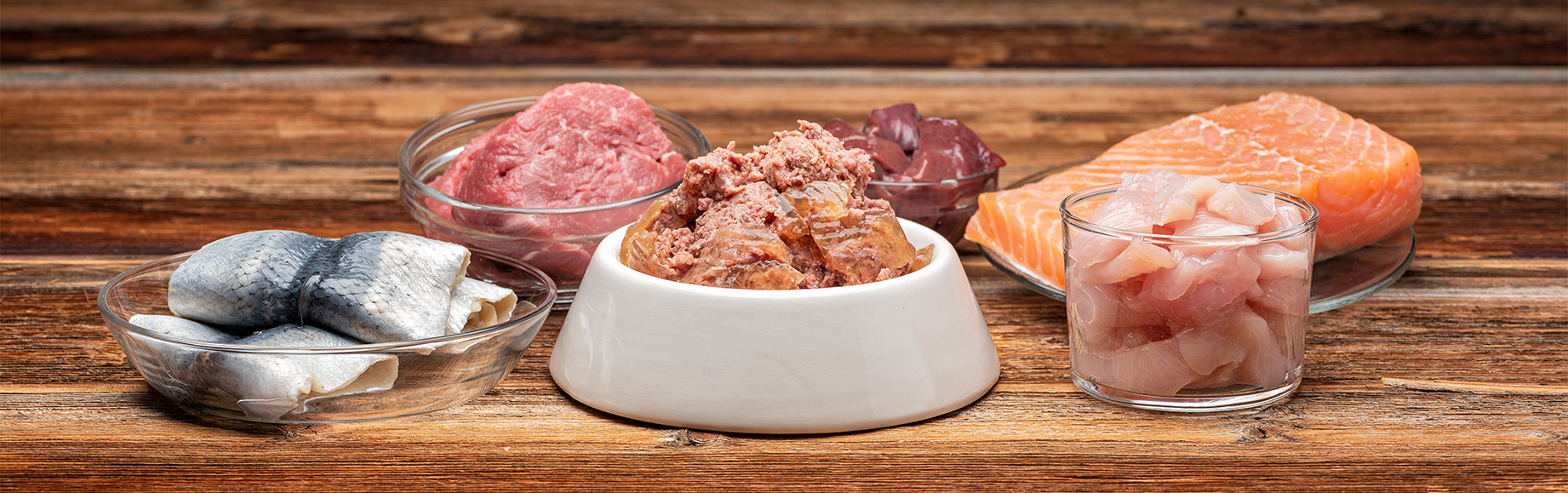 Nassfutter Katze | Schweizer Qualität | Jetzt auf anifit.ch